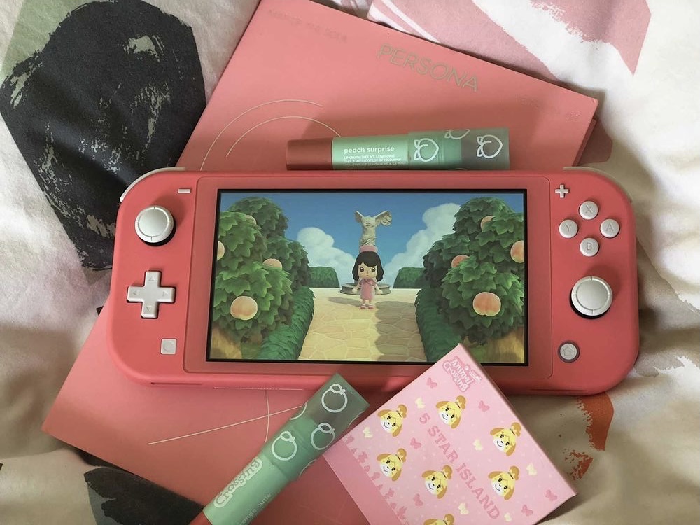 The Wonders of Animal Crossing on Mental Health – FLHS News